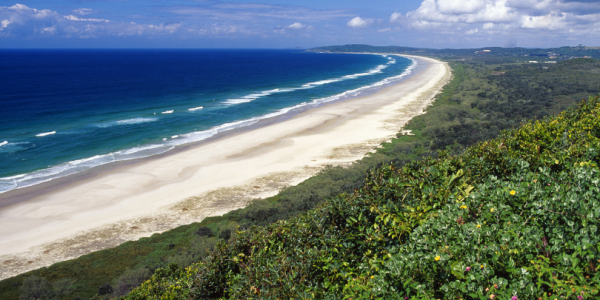 Vegetação de Restinga pode ser considerada como APP