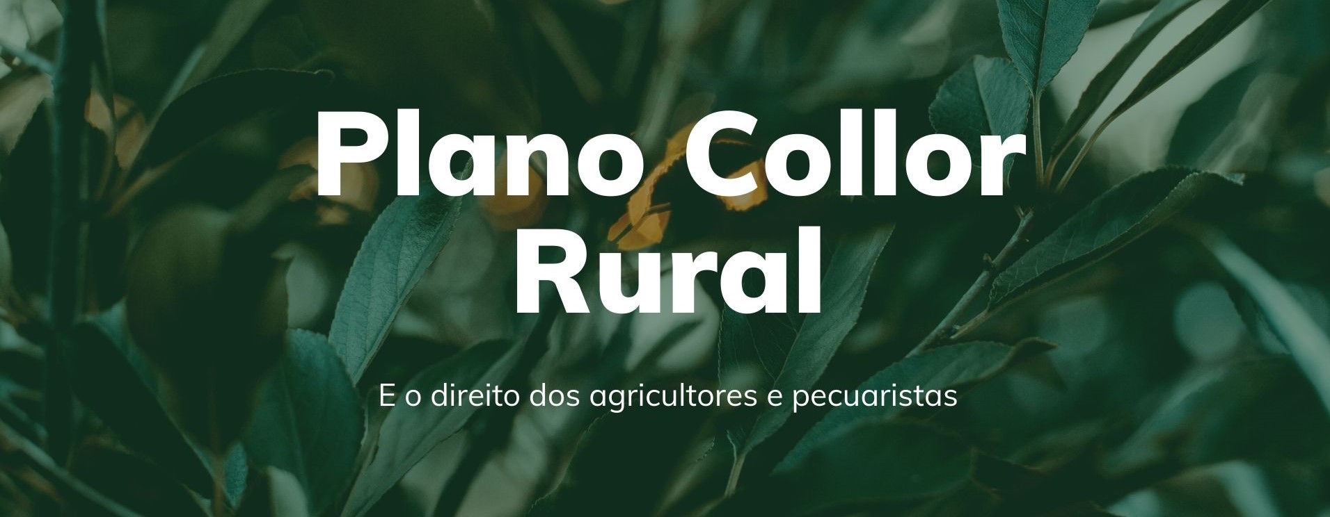 Plano Collor Rural | Jusbrasil