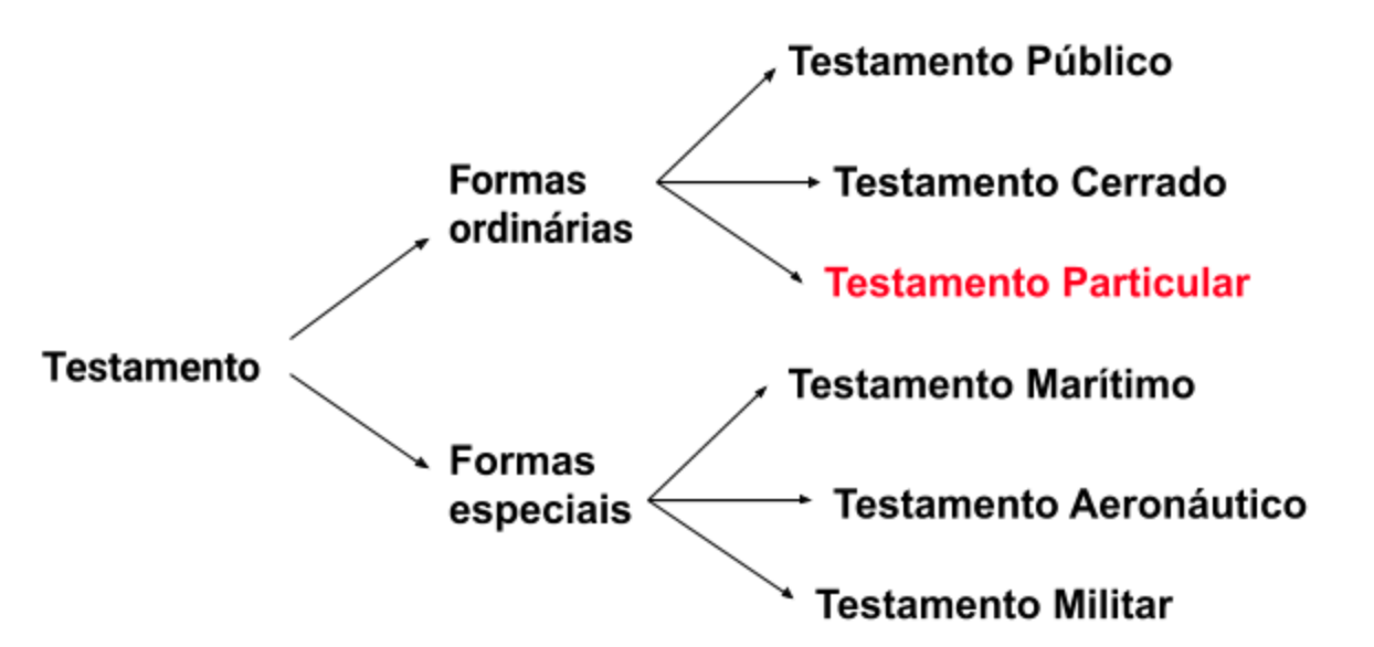 [Modelo] Testamento | Jusbrasil