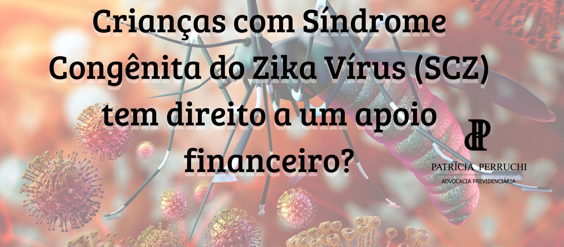 Crianças com Síndrome Congênita do Zika Vírus (SCZ) tem direito a um ...