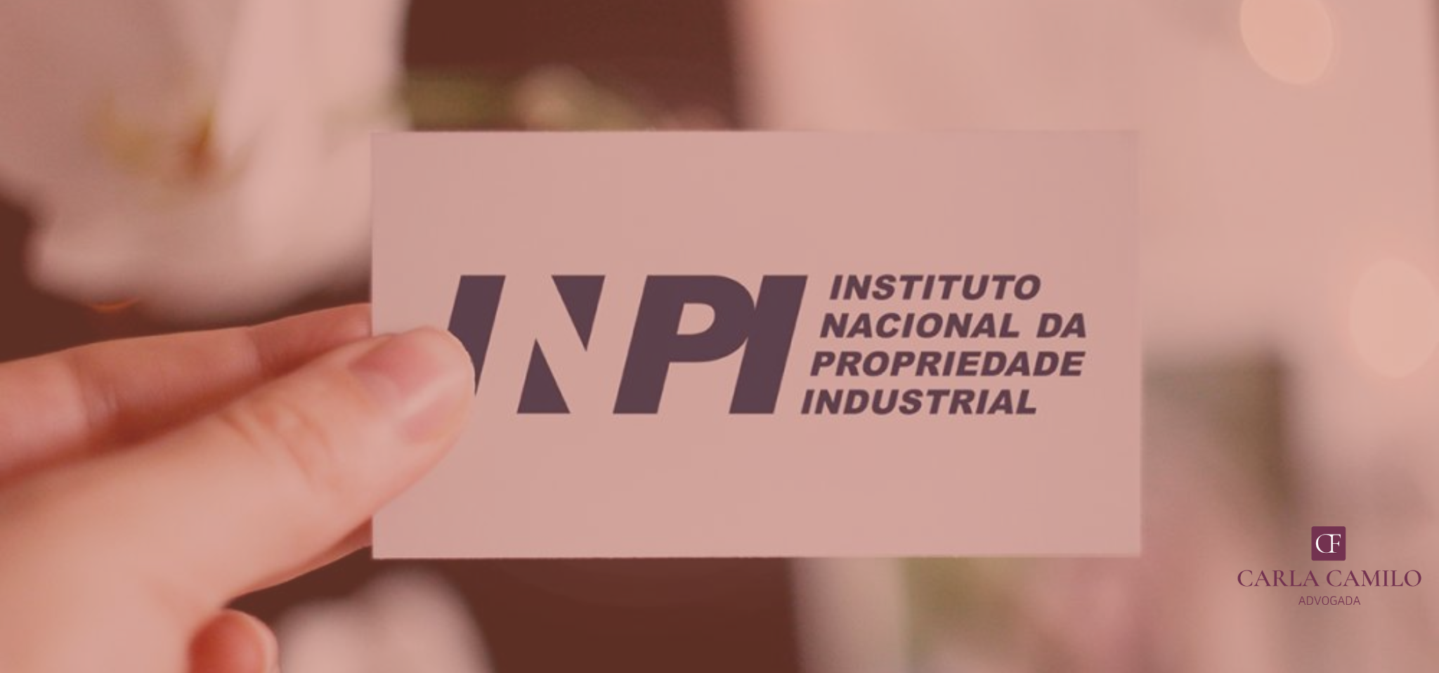 Como registrar sua marca no INPI: Guia passo a passo | Jusbrasil