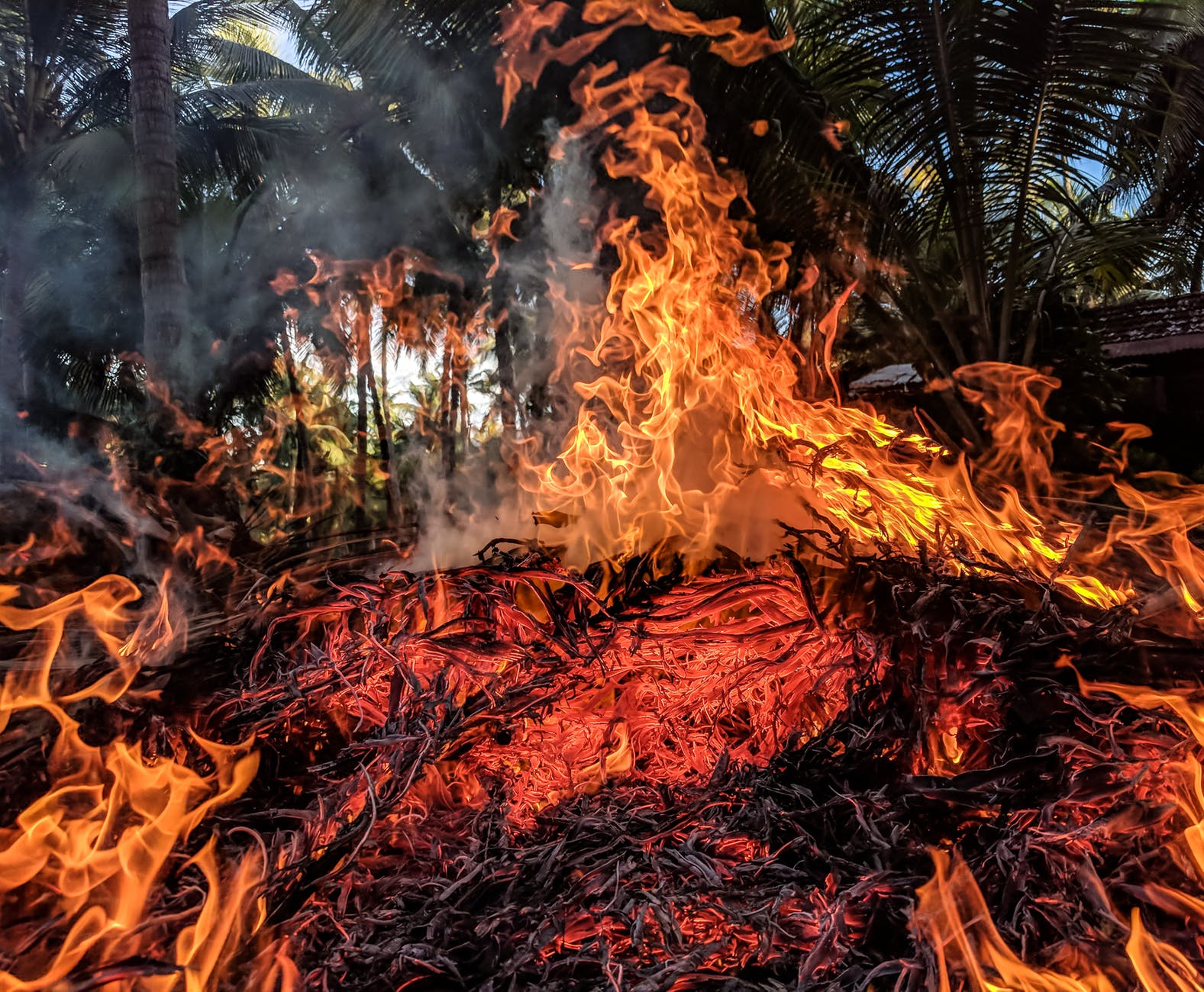 Se eu colocar fogo "de encontro" para combater incêndios, serei punido ...