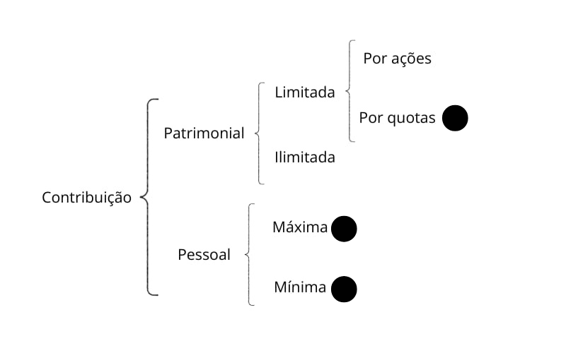 Classificação das sociedades empresariais: o que você precisa saber ...